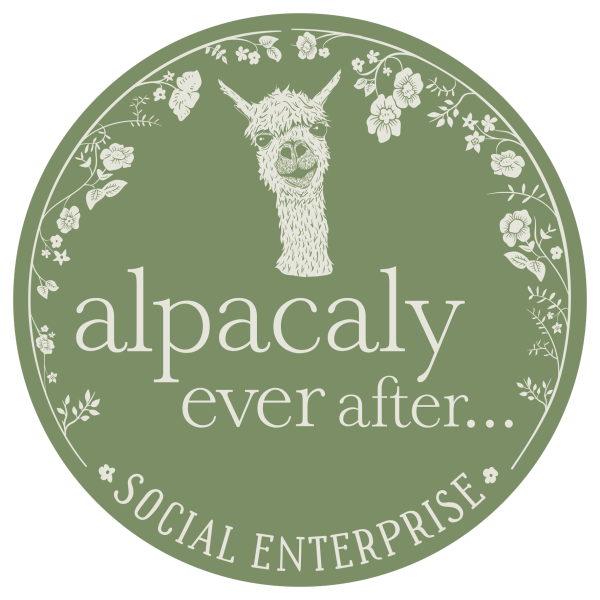 Alpacaly Ever After | Alpaca Walks | Meet The Alpacas at Basecamp North ...