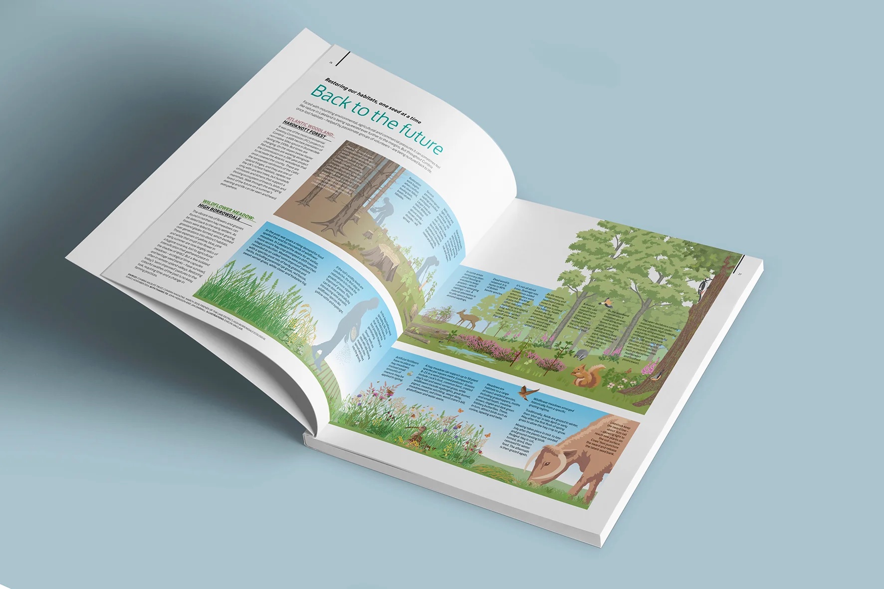 The Lake District in 101 Maps and Infographics | Basecamp