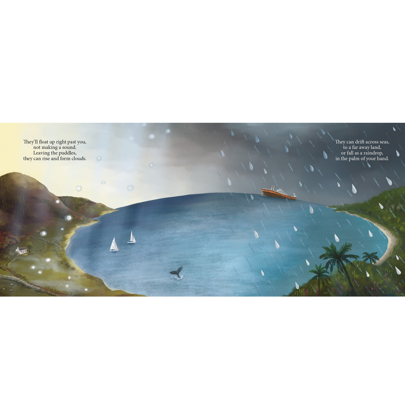 Mr Puddlebrush | Children's Picture Book | Basecamp